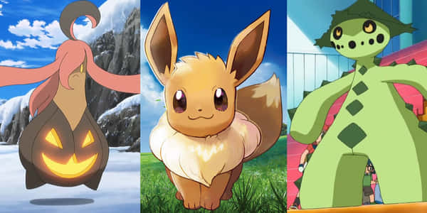 Ladda ner Backgroundär En Populär Val För Pokémon-fans. Varje Eevee ...