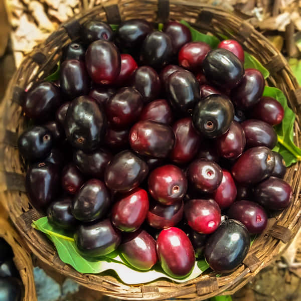 Download Plethora Of Clustered Java Plums Wallpaper | Wallpapers.com