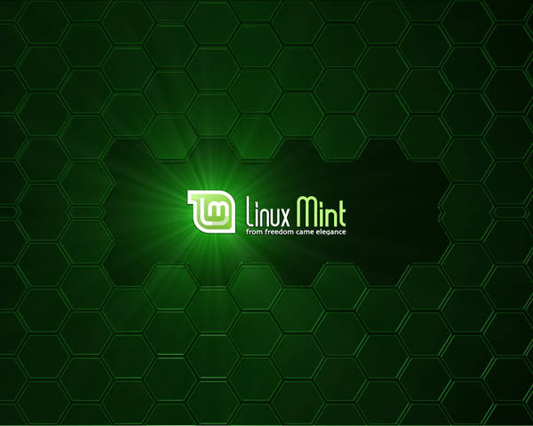 Download Operating System Linux Mint Logo Textured Backdrop Wallpaper ...
