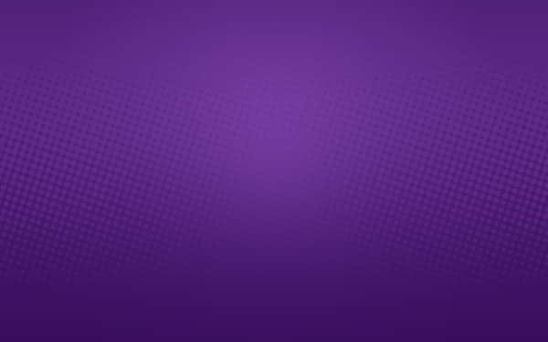 Download Vibrant Solid Purple Background Wallpaper | Wallpapers.com