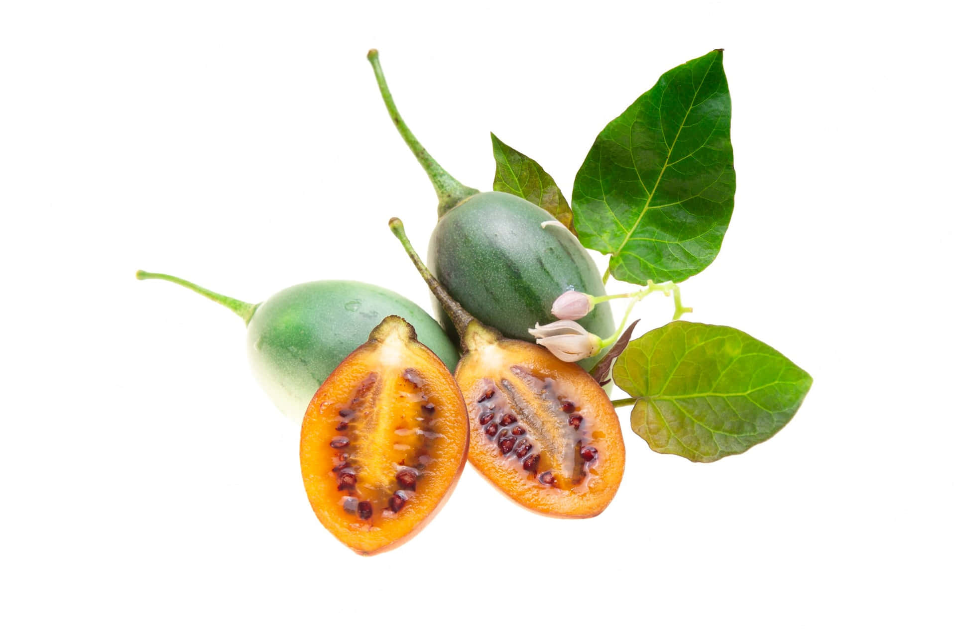 Free Tamarillo Wallpaper Downloads, [100+] Tamarillo Wallpapers for ...