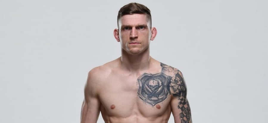 Free David Dvořák Wallpaper Downloads, [100+] David Dvořák Wallpapers ...