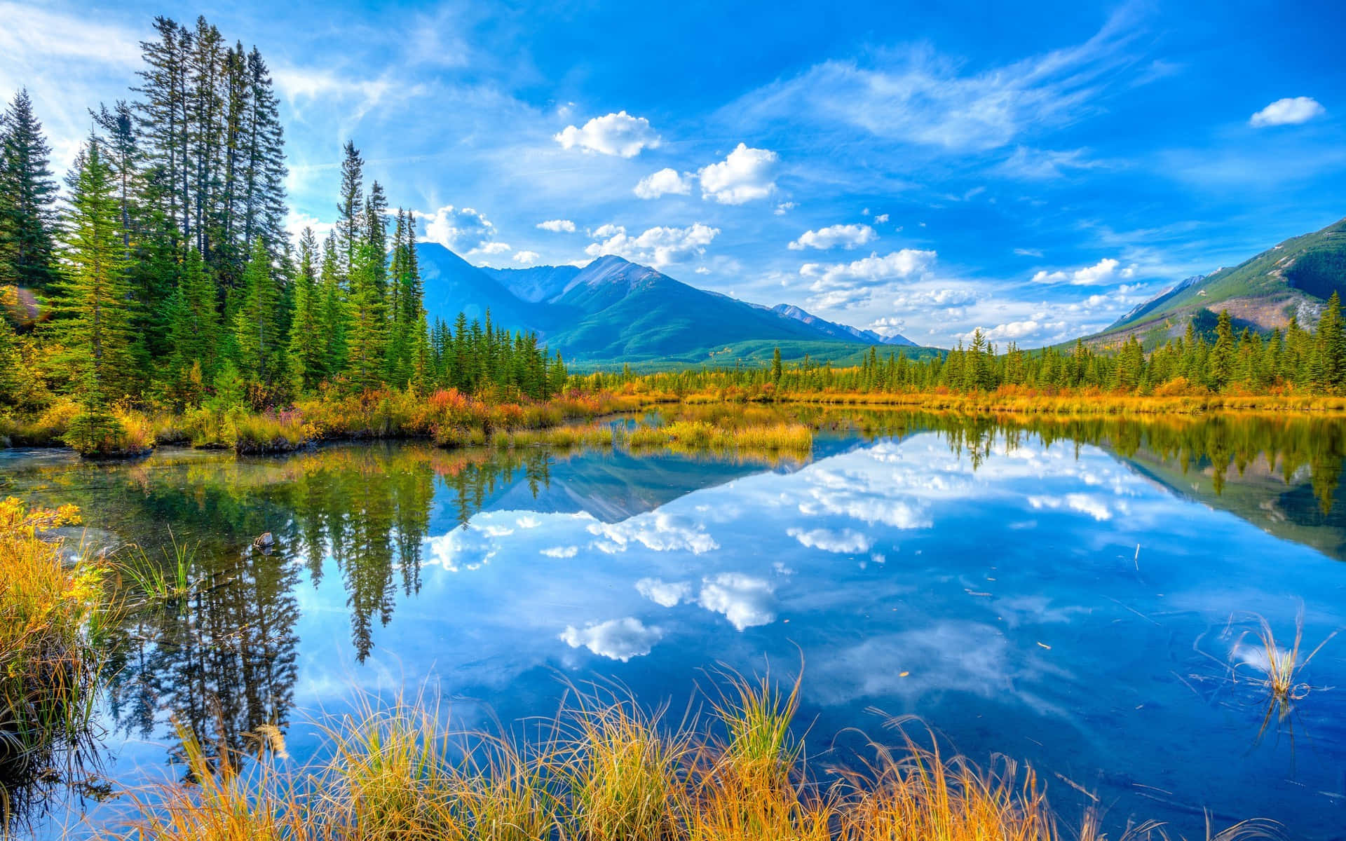 Free Photography Nature Background , [100+] Photography Nature ...