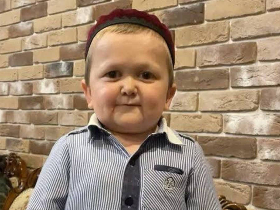 Free Hasbulla Background , [100+] Hasbulla Background s for FREE ...