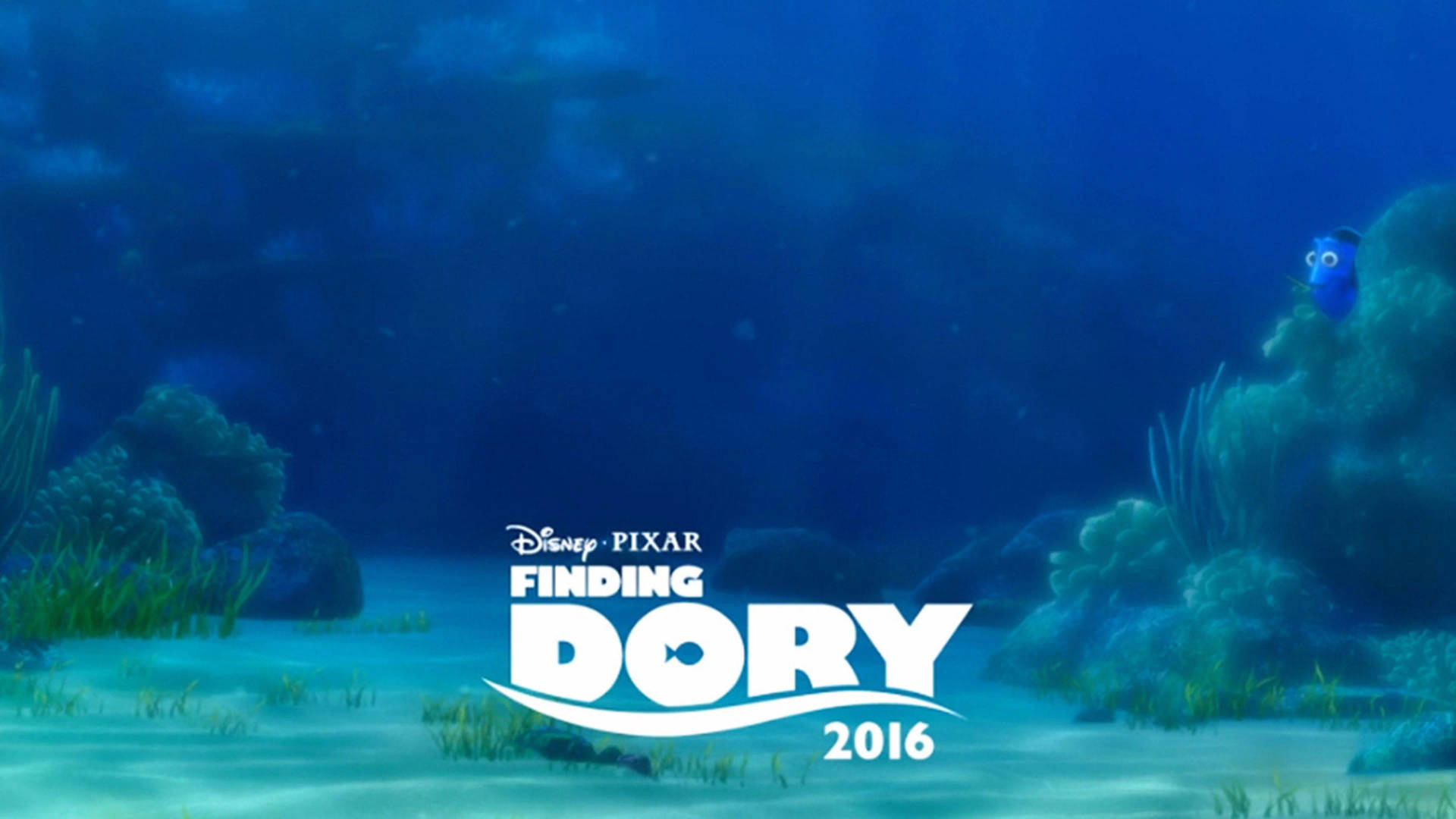 [100+] Finding Dory Pictures | Wallpapers.com