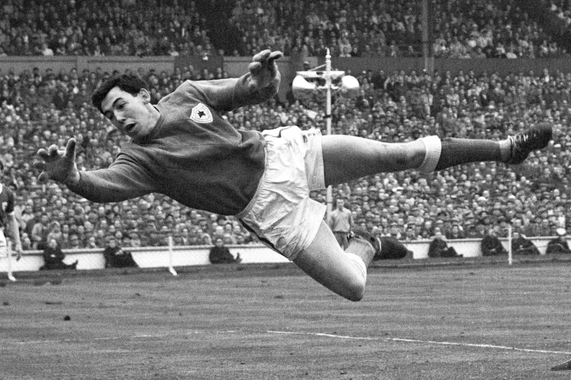[100+] Gordon Banks Wallpapers for FREE | Wallpapers.com