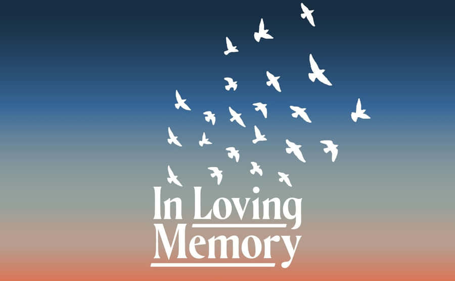 Modelos Grátis De Papel De Parede Em Preto E Branco Para Celular - Reboot