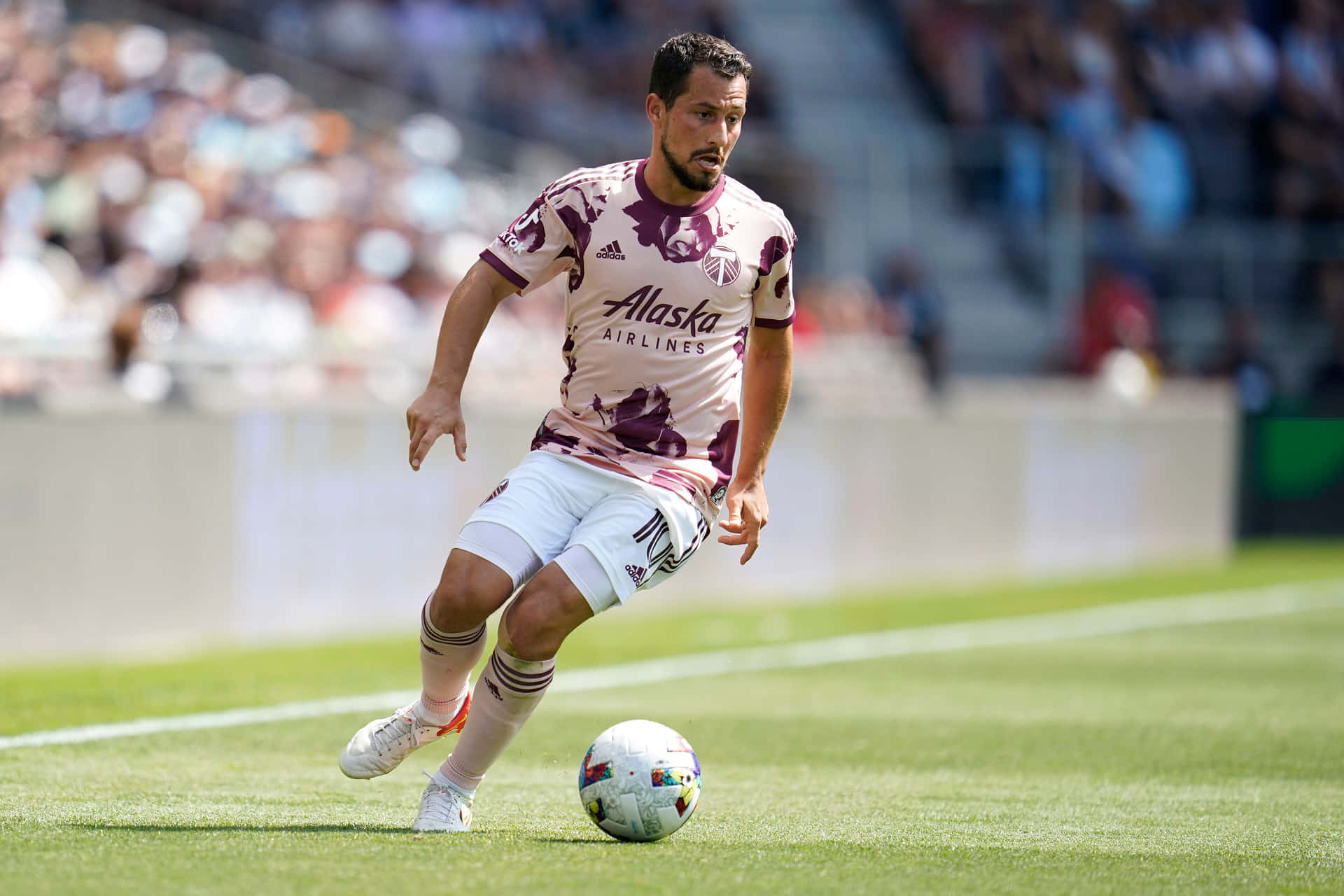 [100+] Sebastian Blanco Wallpapers for FREE | Wallpapers.com