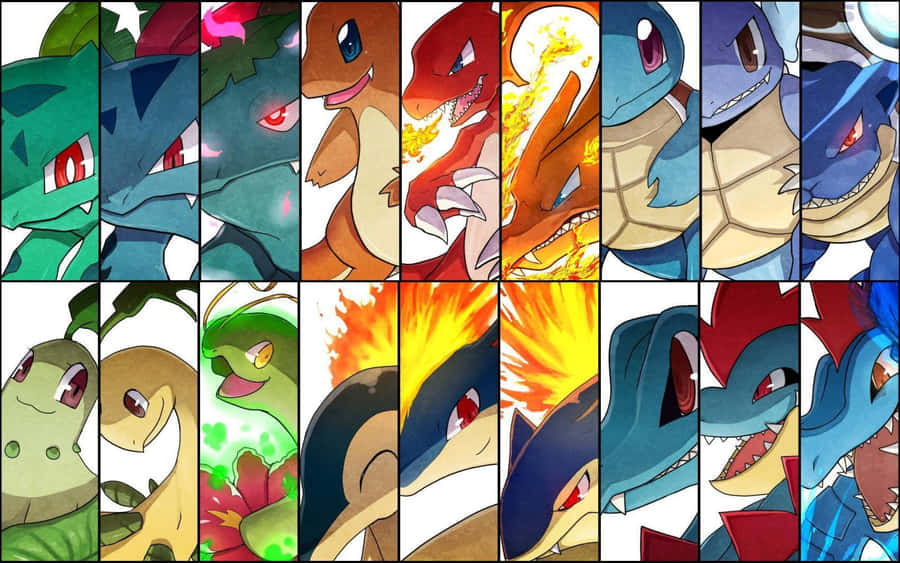 [100+] Pokemon Evolution Wallpapers for FREE | Wallpapers.com