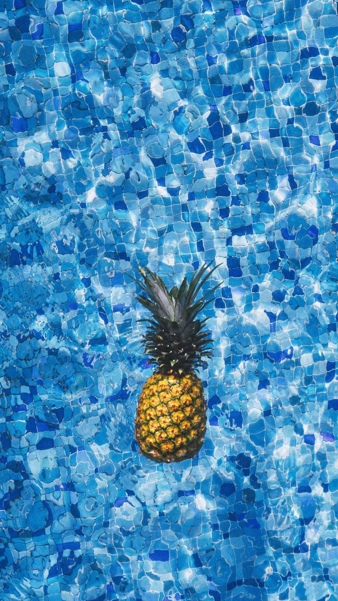 Download Android Summer Background | Wallpapers.com