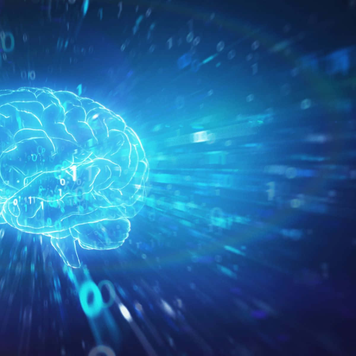 Download Brain Background | Wallpapers.com