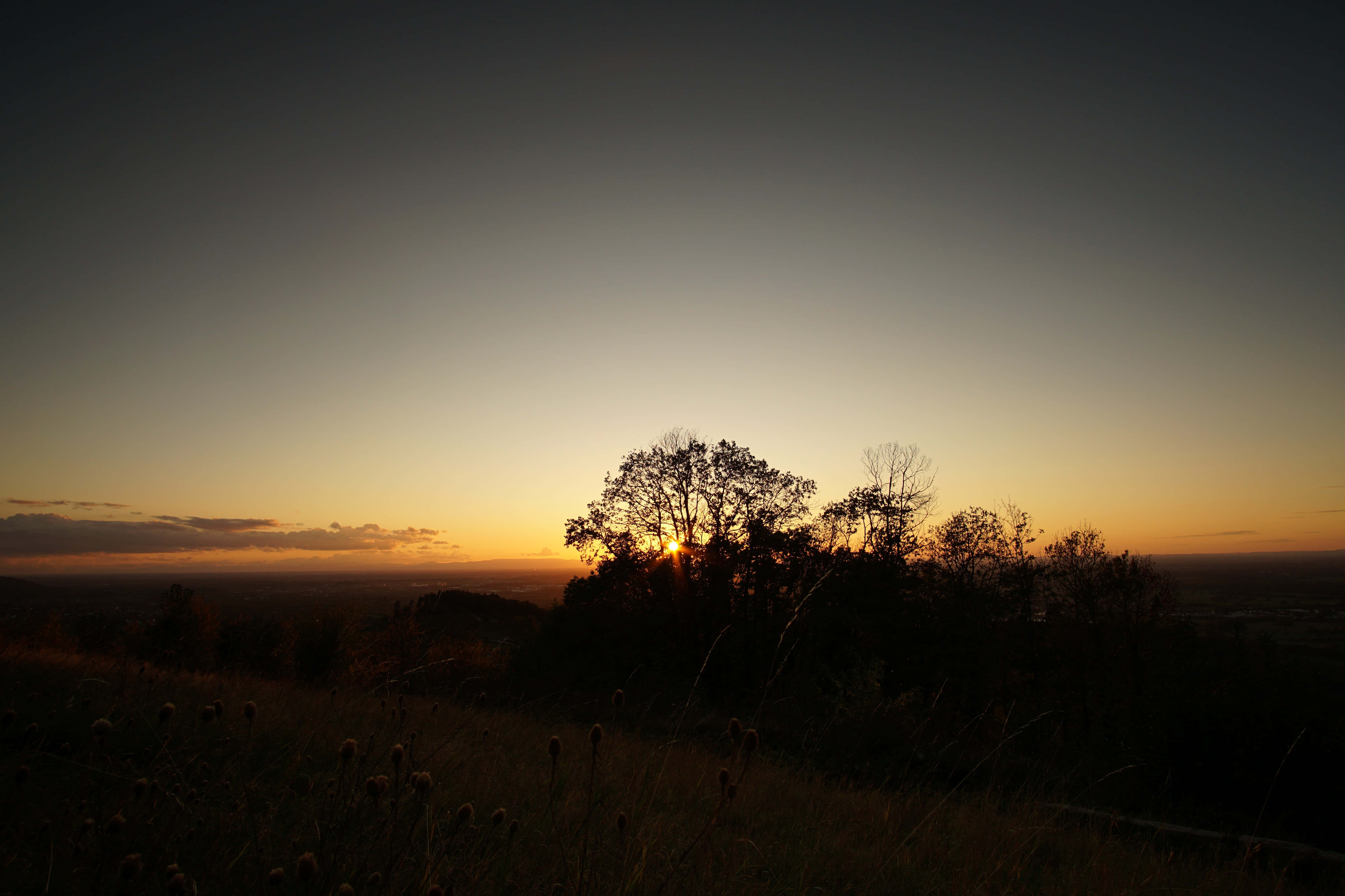 Download Droll Jibril Wallpaper | Wallpapers.com