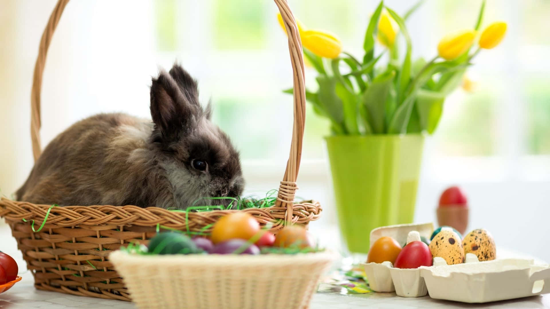 Download Get Ready for Easter Egg Hunt with the Easter Bunny! Wallpaper ...