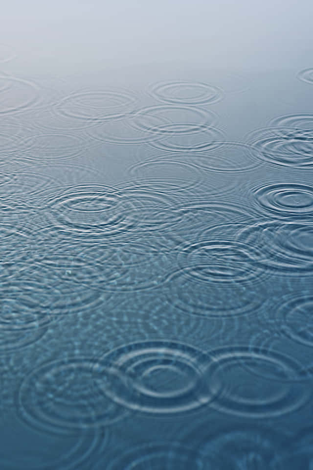 Download A close-up of the distinctive icons found in IOS 4. Wallpaper ...