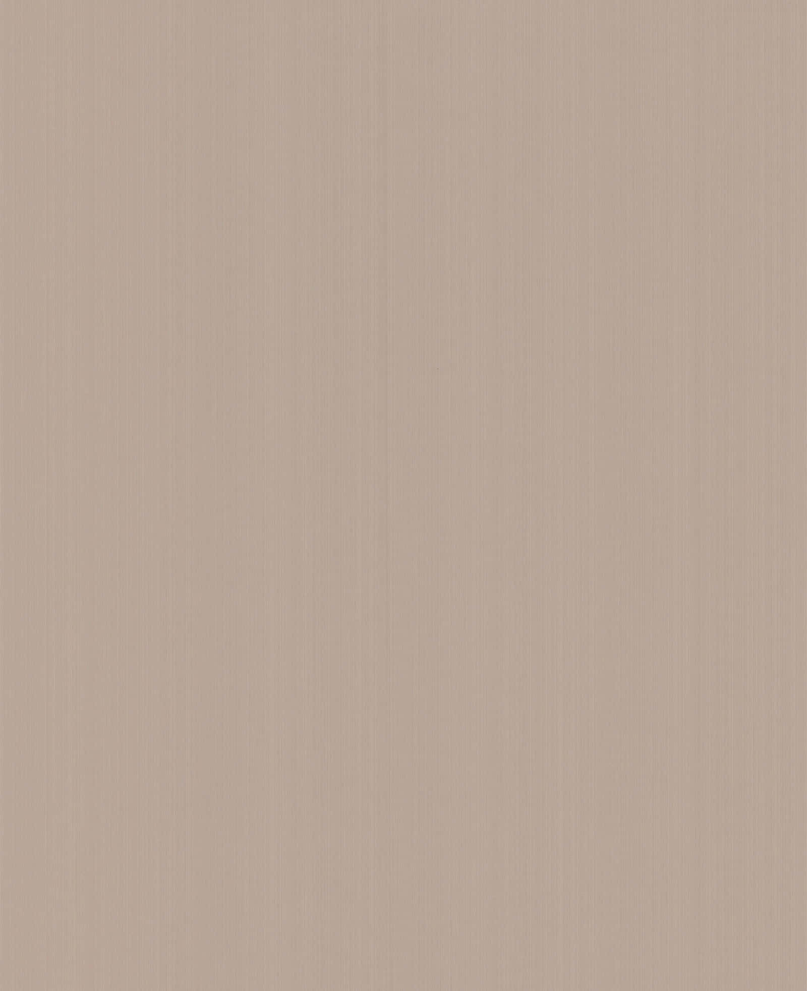 Download Light Brown Background | Wallpapers.com