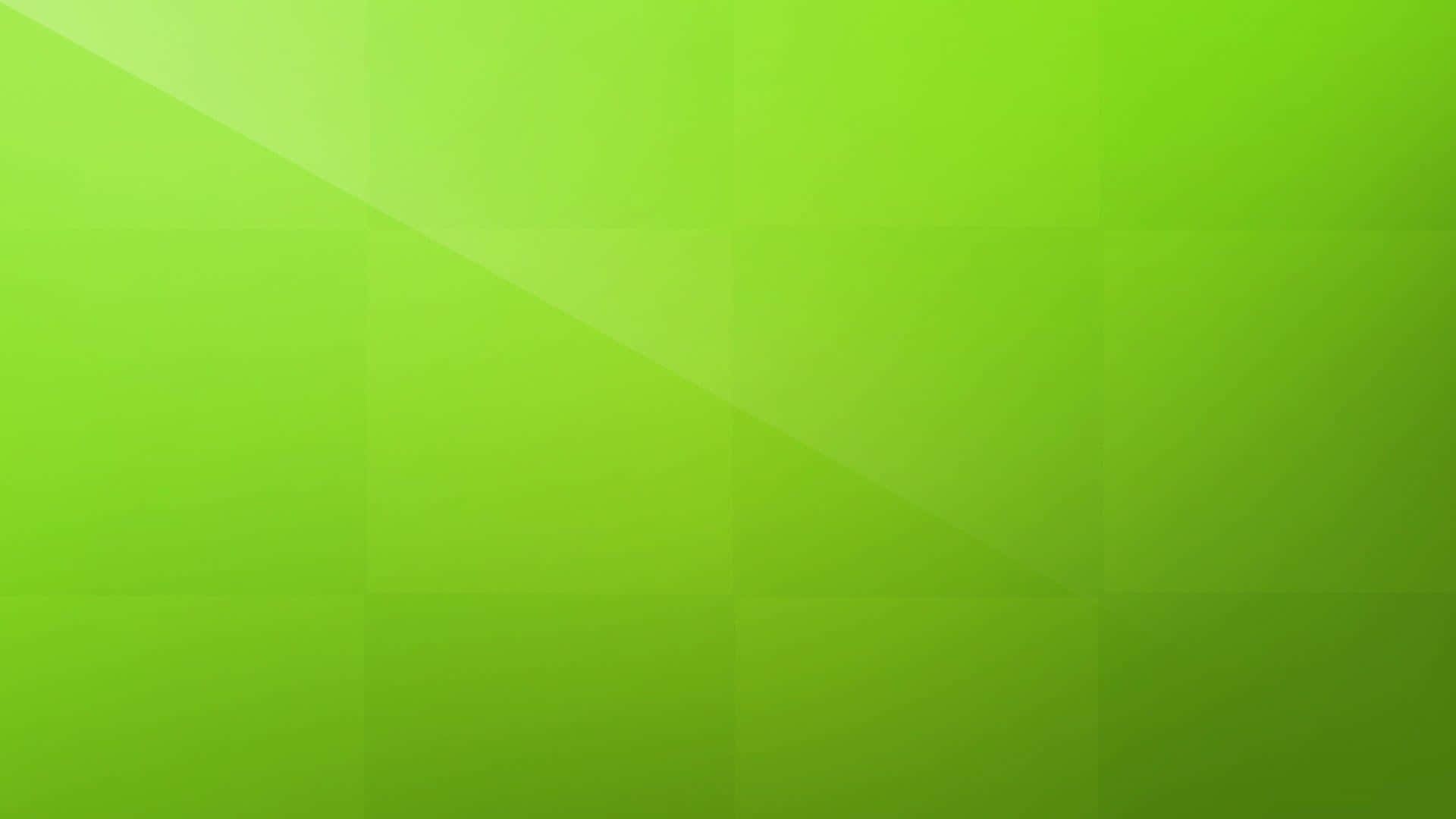 Download Solid Background | Wallpapers.com