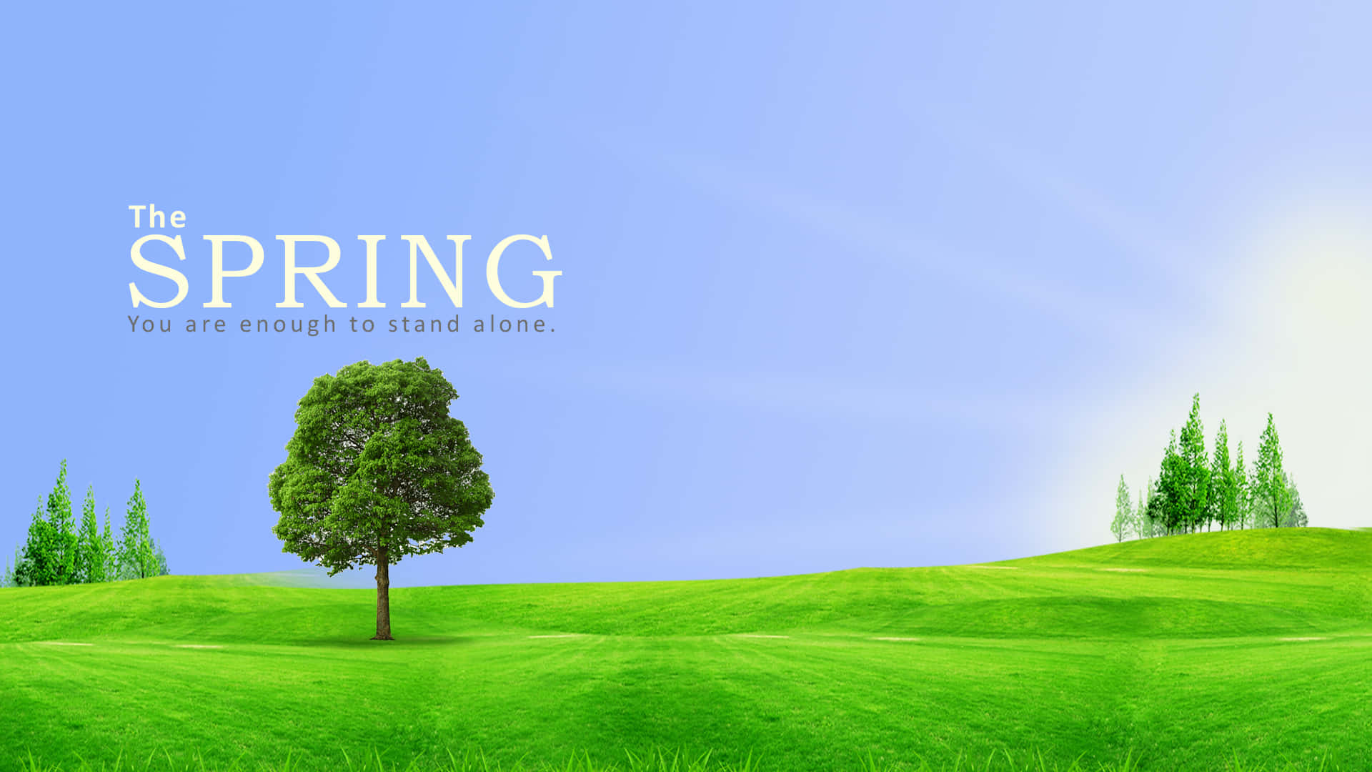 Download Butterflies And Flowers Spring Background | Wallpapers.com