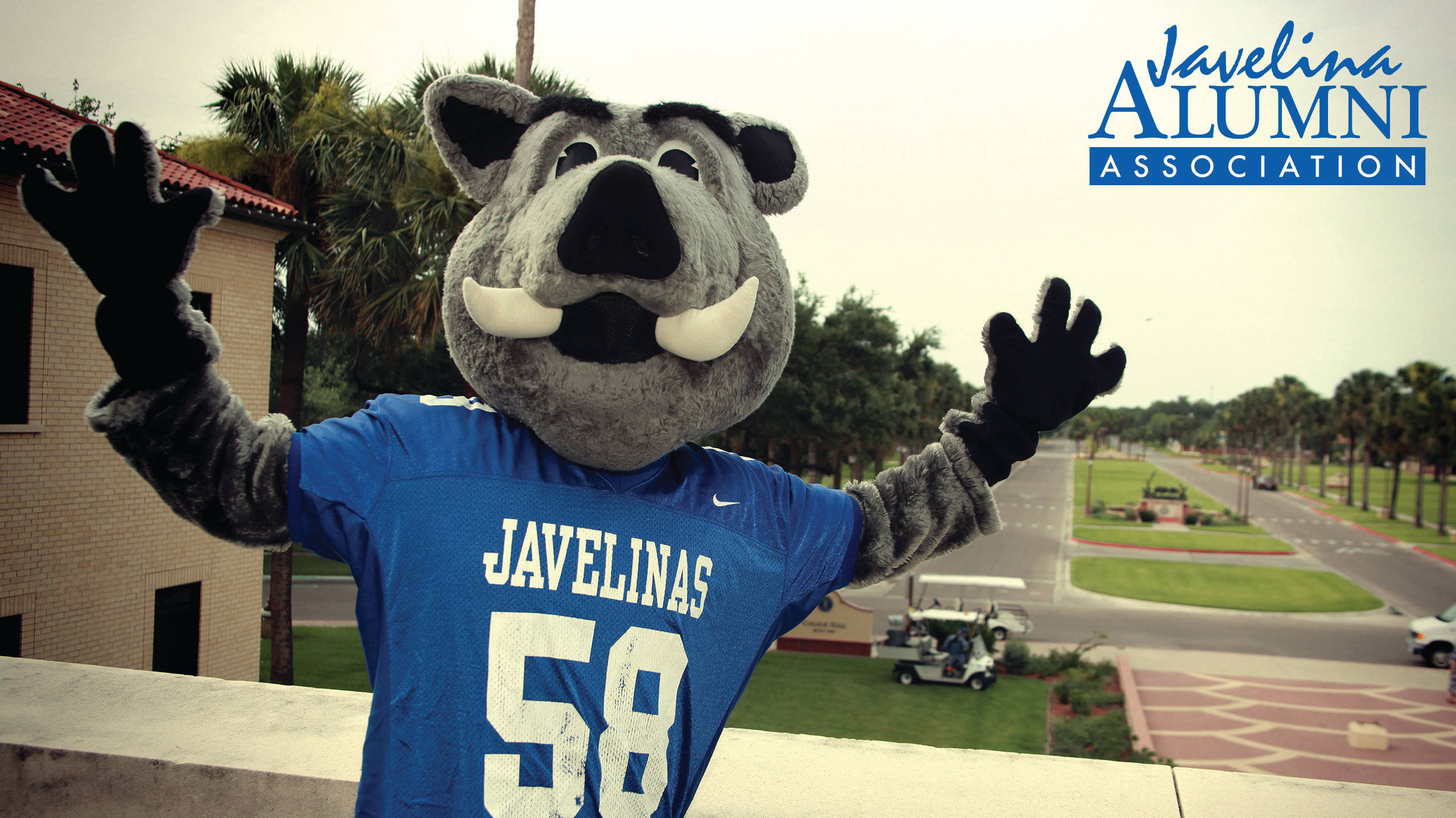 Download Texas A&M University Kingsville Javelinas Wallpaper ...