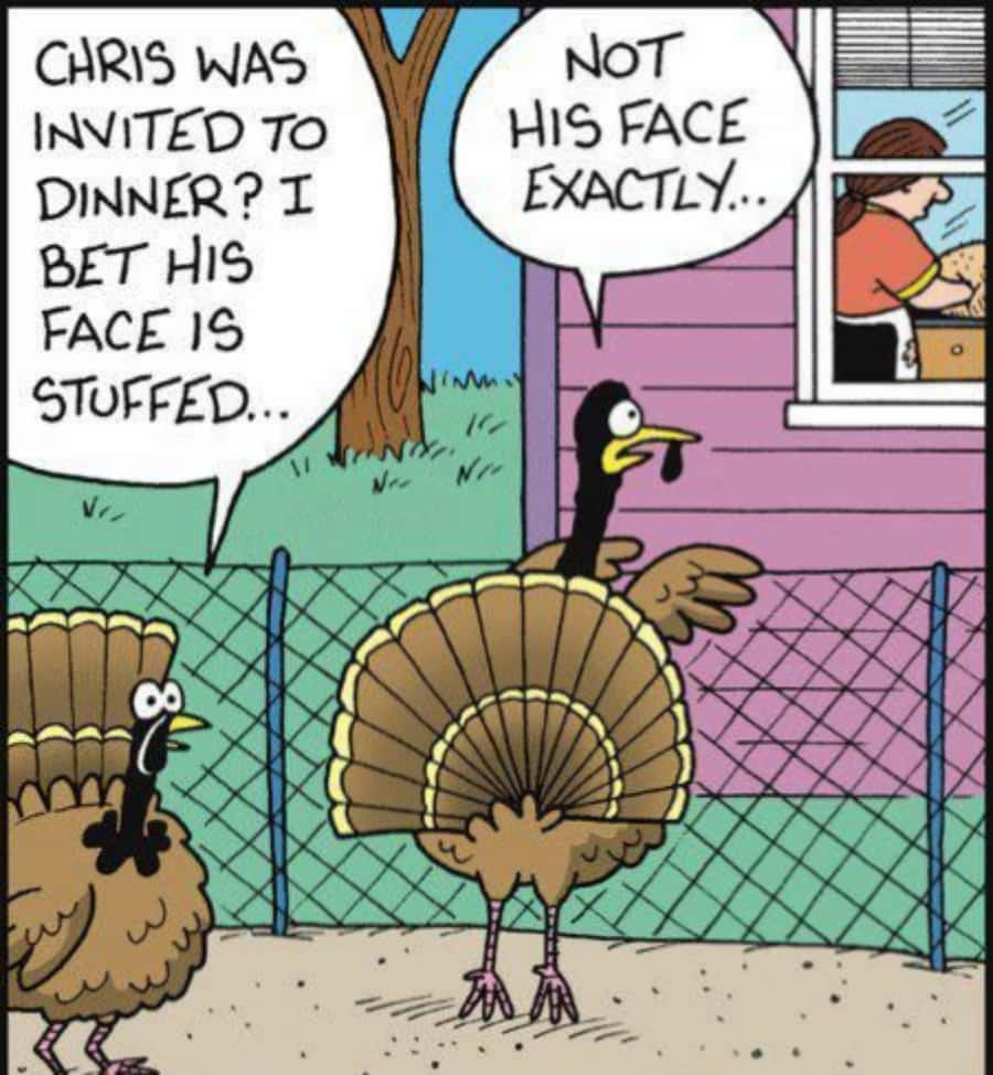 Download Thanksgiving Funny Pictures 900 X 974 | Wallpapers.com