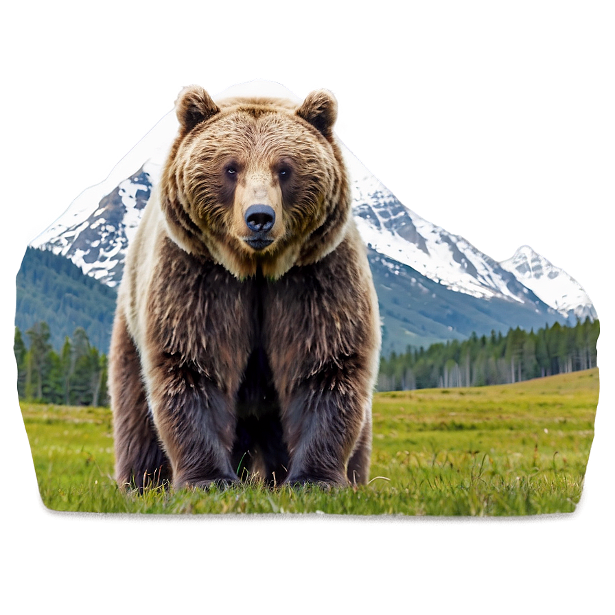 Download Bear And Mountains Png 05032024 | Wallpapers.com