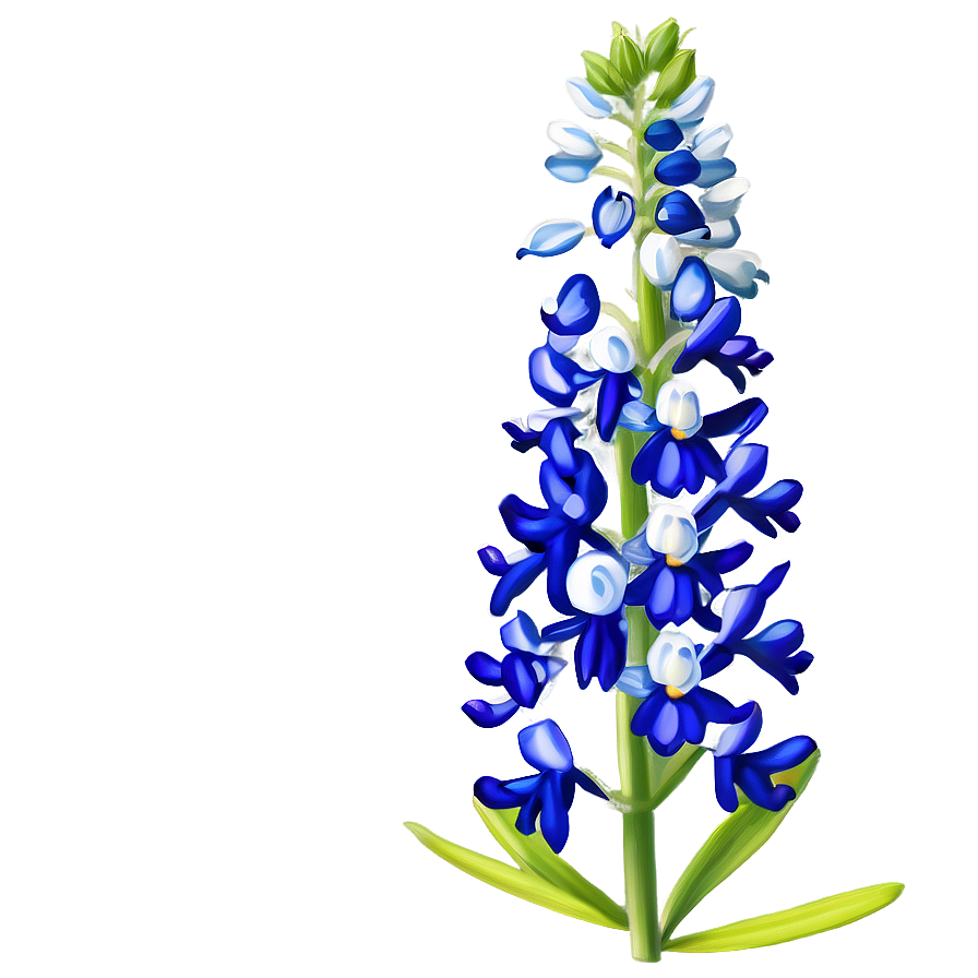 Download Bluebonnet D | Wallpapers.com
