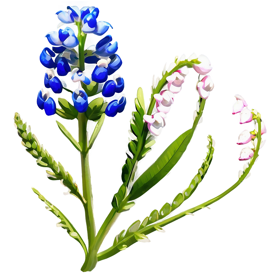 Download Bluebonnet With Blue Sky Png Uxu | Wallpapers.com