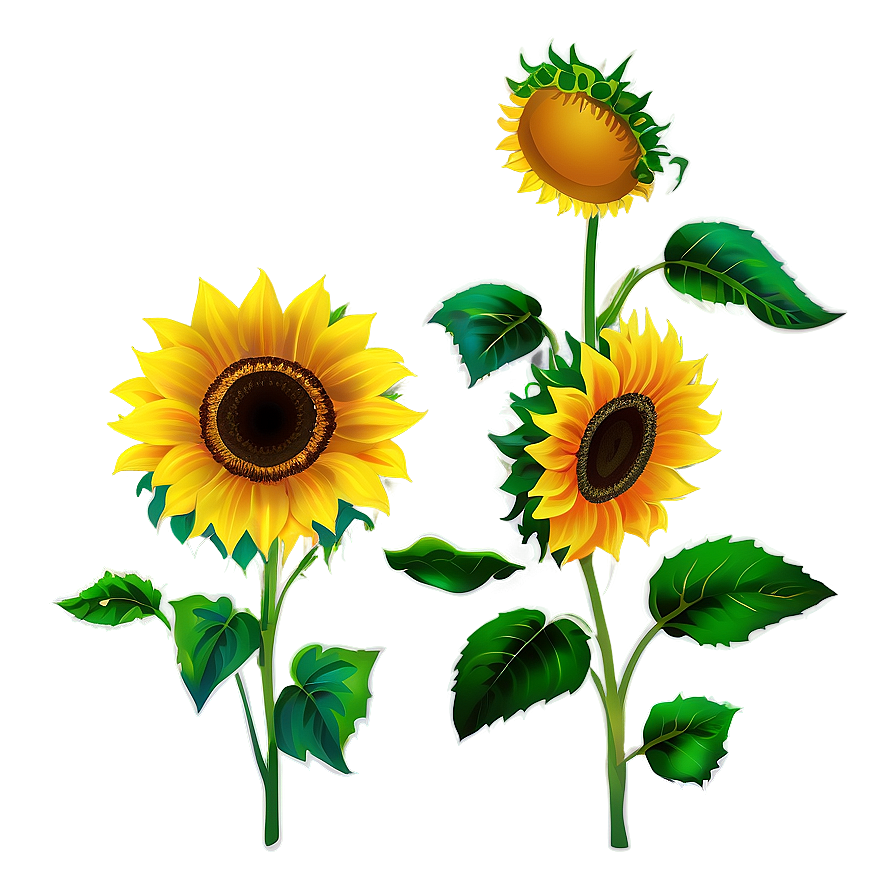 Download Bright Sunflower Clipart Png Nnm71 | Wallpapers.com