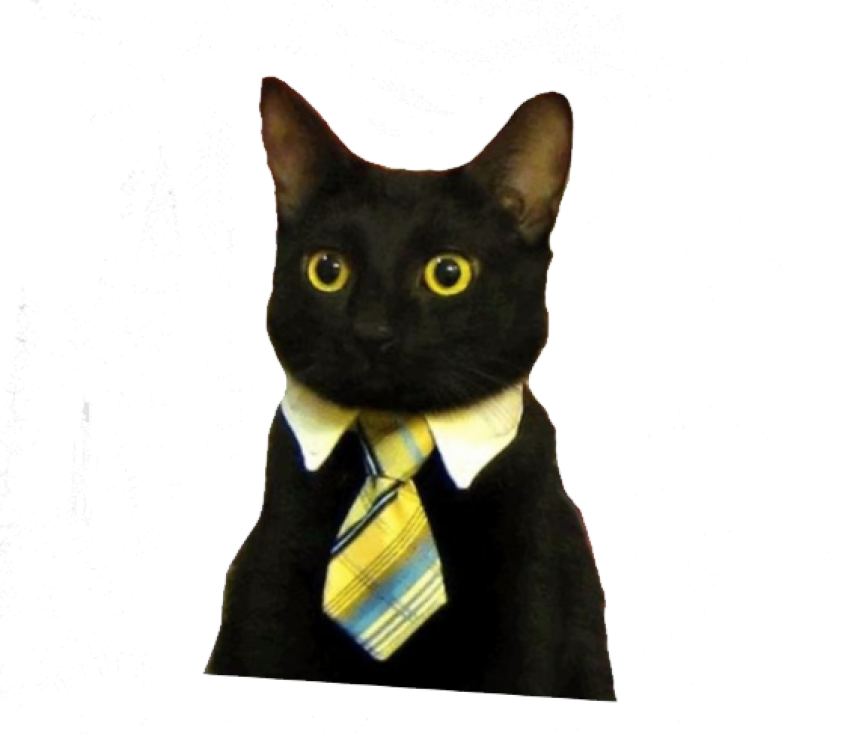 Download Business Cat Meme.png | Wallpapers.com