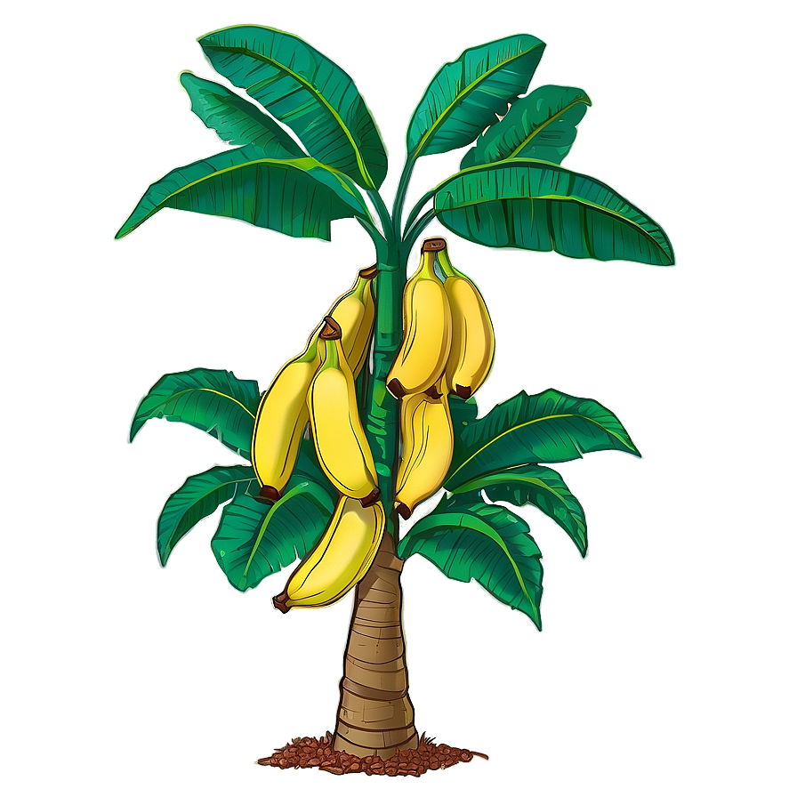 Download Cartoon Banana Tree Drawing Png 06252024 | Wallpapers.com