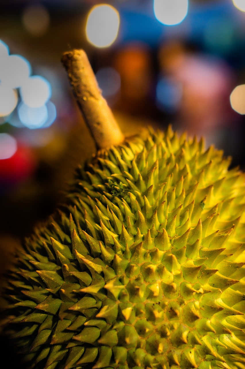 Download Close Up Durian Fruit Texture Wallpaper | Wallpapers.com