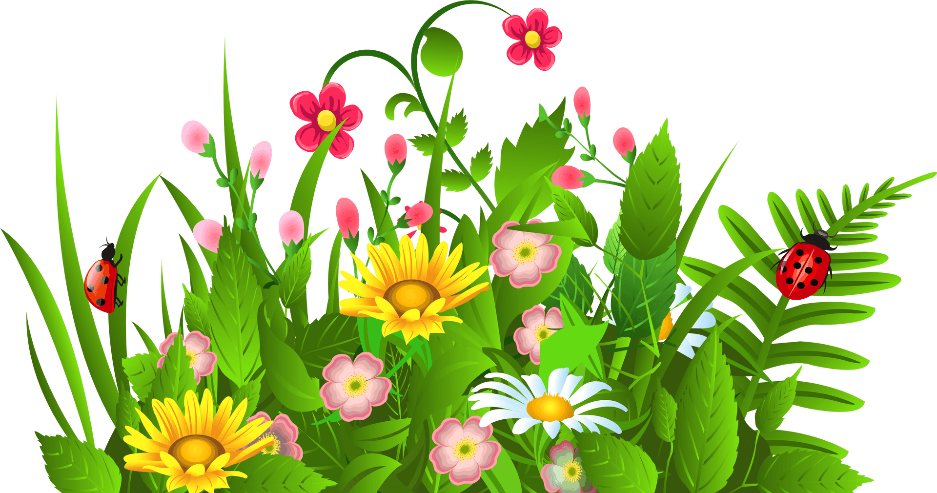 Download Colorful Flower Meadow Clipart | Wallpapers.com