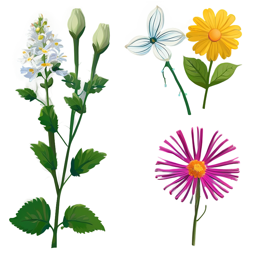 Download Colorful Flower Outline Png 39 | Wallpapers.com