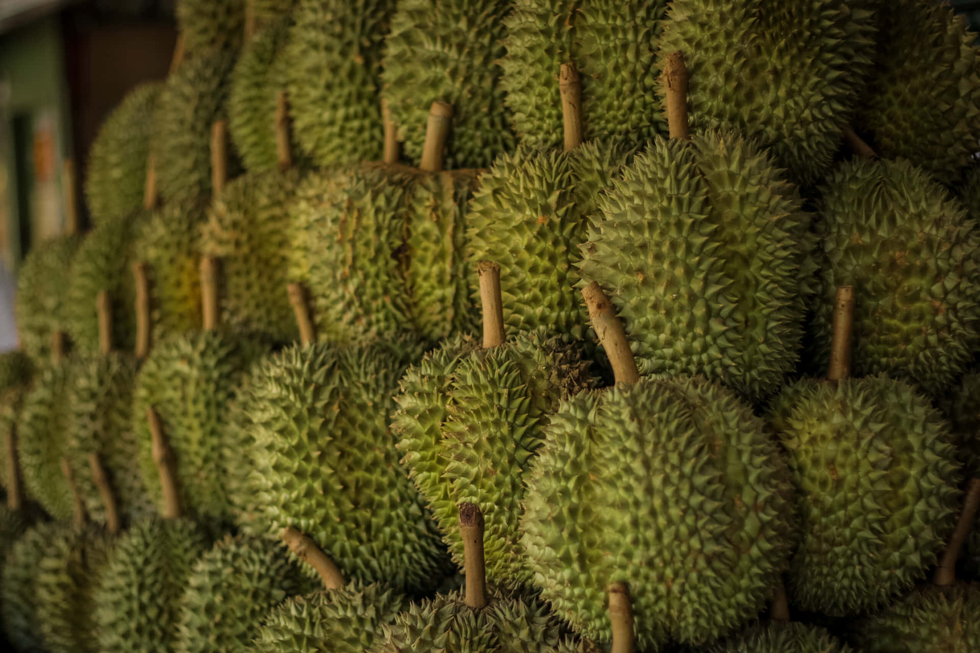 [100+] Durian Wallpapers | Wallpapers.com