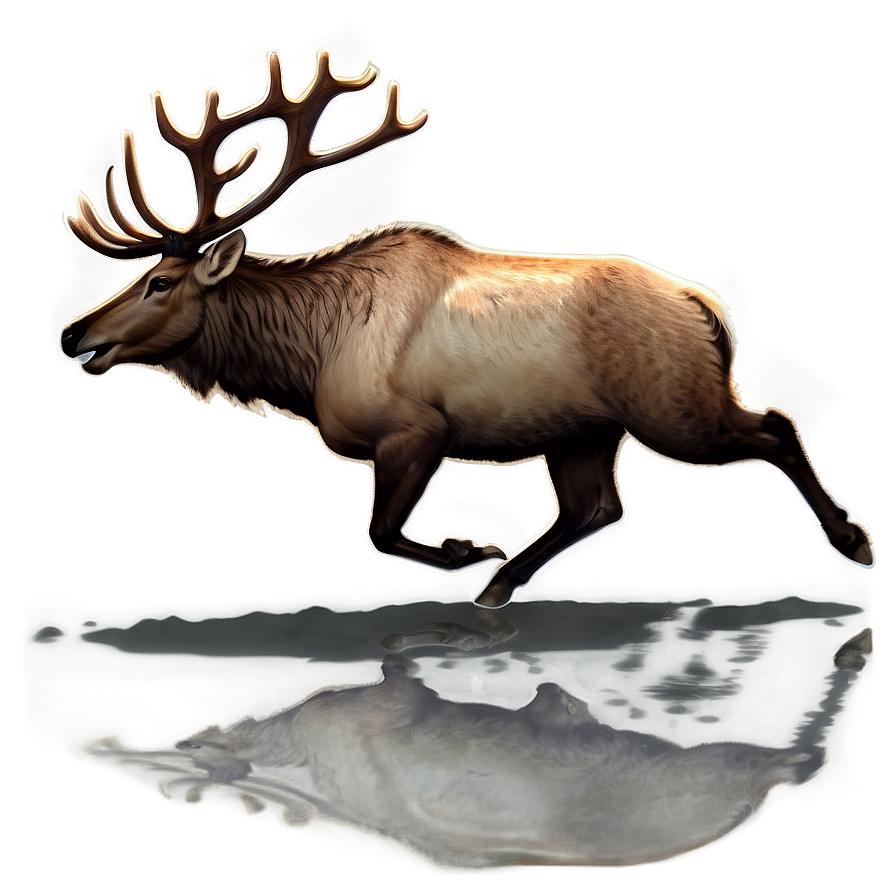 Download Elk Running Png 05242024 | Wallpapers.com