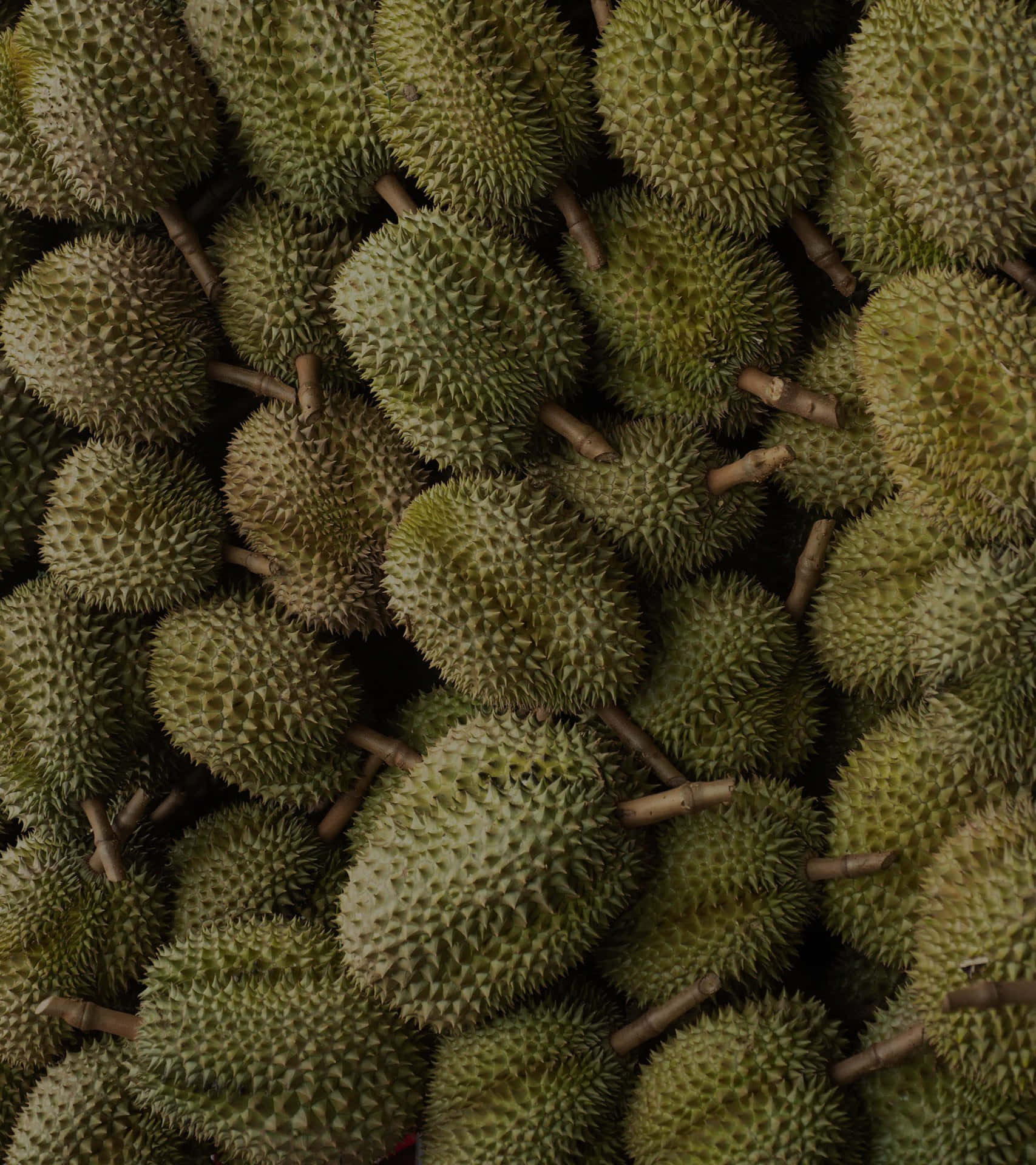 Download Fresh Durian Fruit Texture Wallpaper | Wallpapers.com