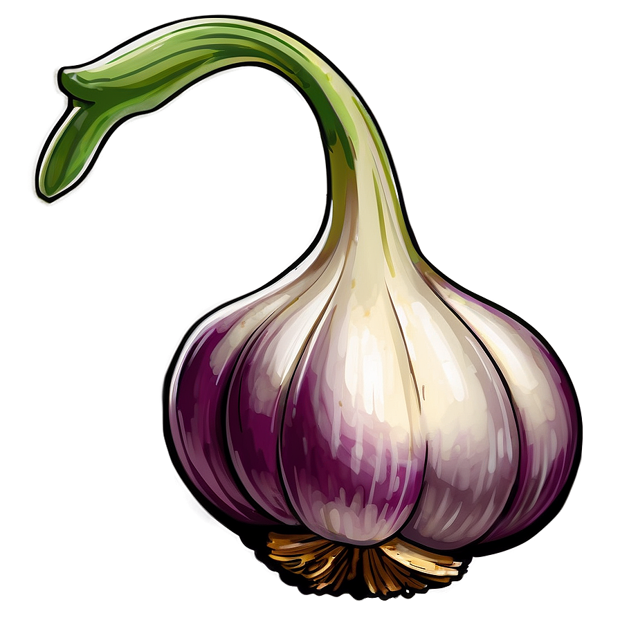 Download Garlic Sketch Png 05242024 | Wallpapers.com