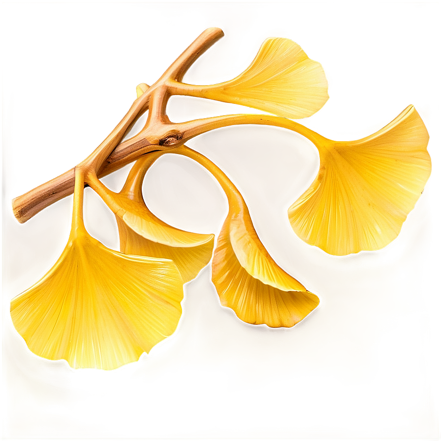 Download Golden Ginkgo Leaves Png Xwe | Wallpapers.com