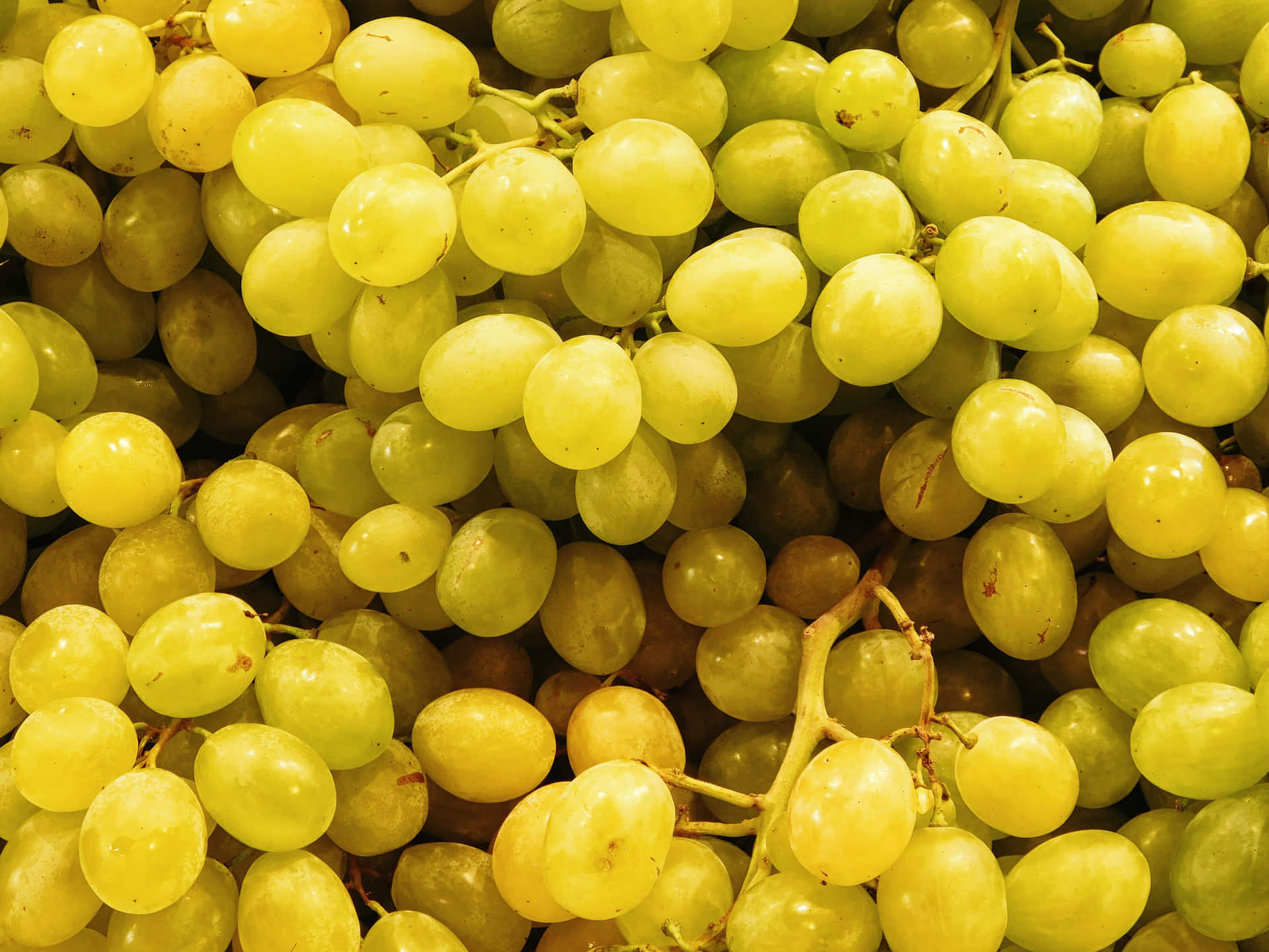 Download Grape Wallpaper | Wallpapers.com