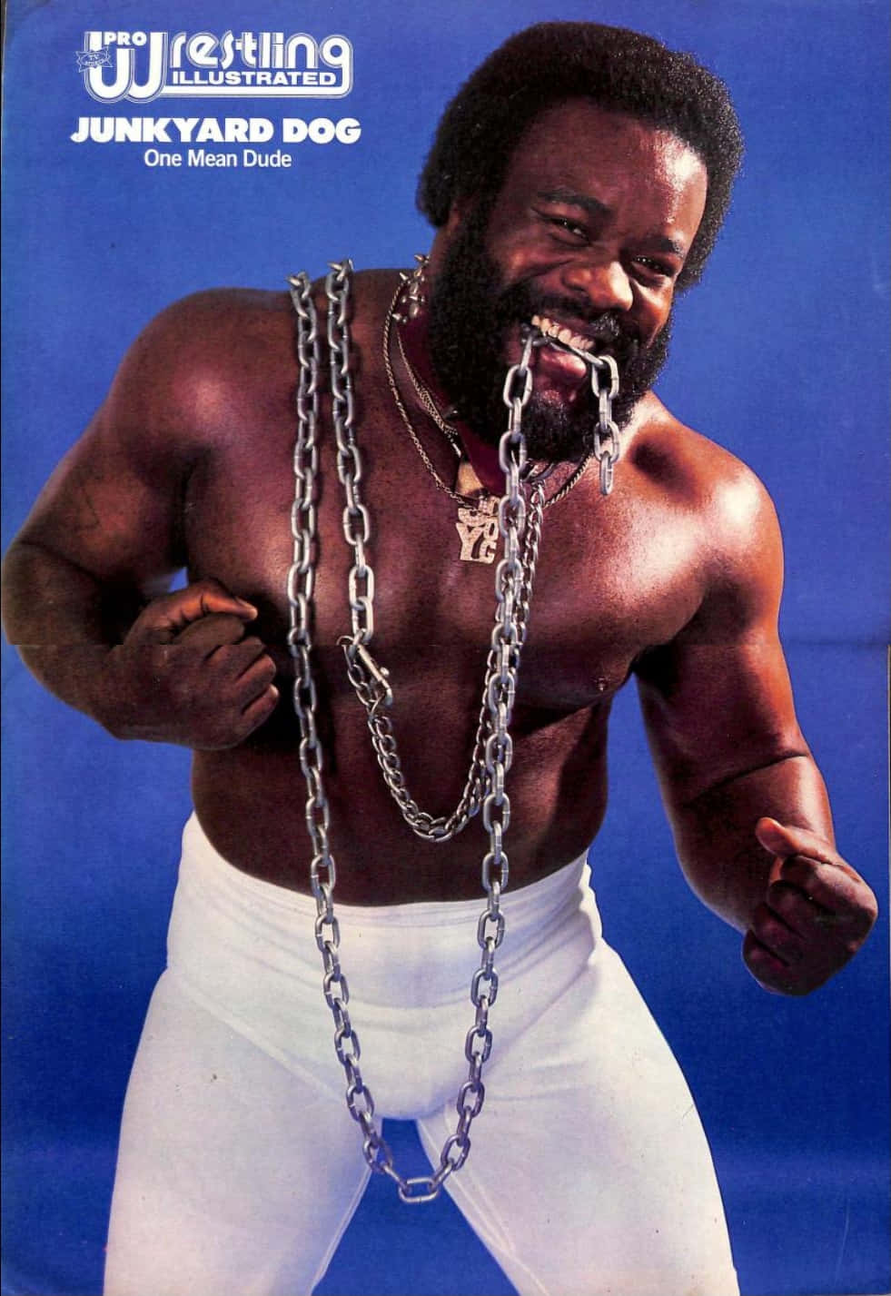 Download Junkyard Dog Wrestling Illustrated Cover Wallpaper | Wallpapers.com