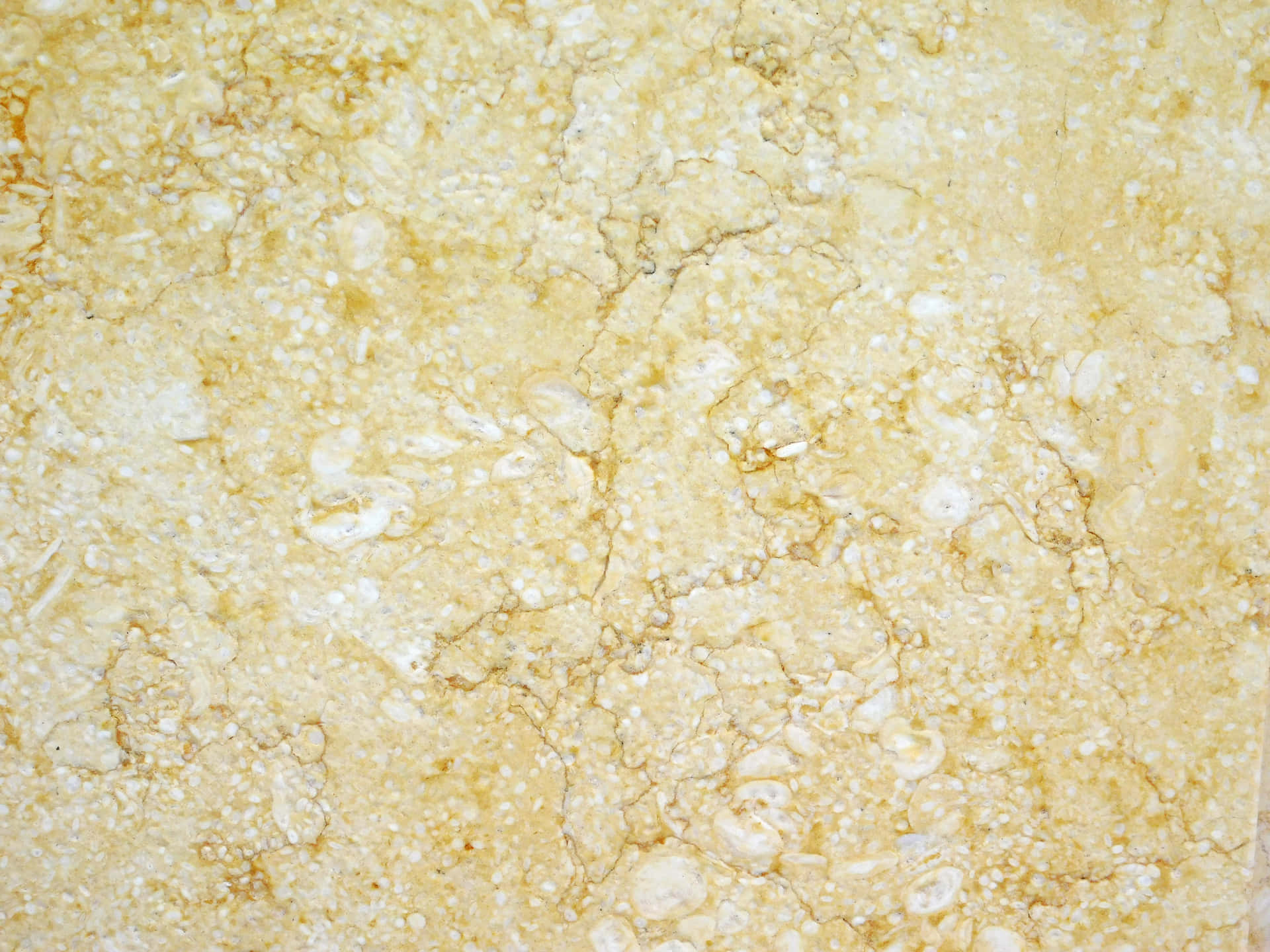 Download Marble Texture Wallpaper | Wallpapers.com