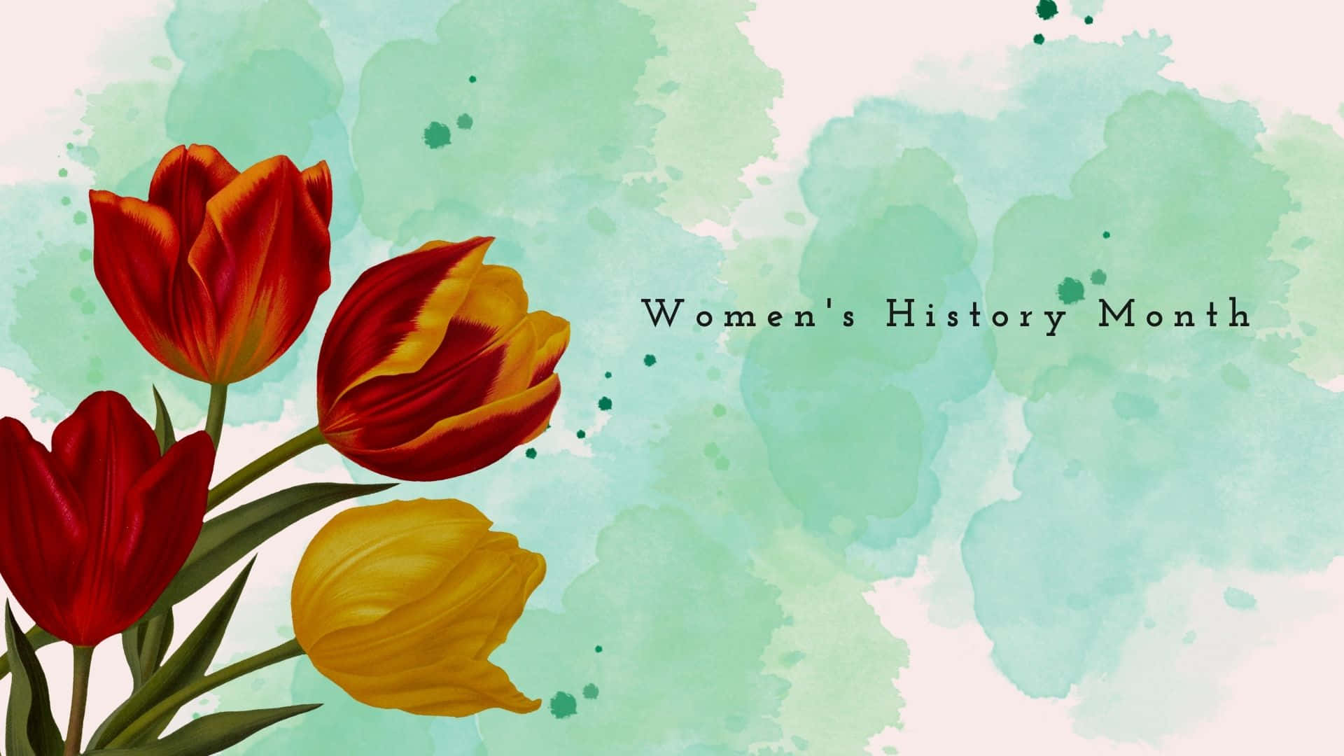 [100+] Fondos de fotos de Mes de la Historia de la Mujer | Wallpapers.com
