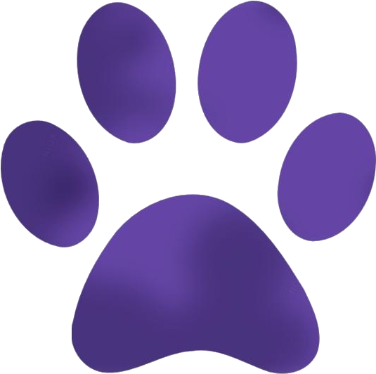 Download Purple Paw Print Graphic | Wallpapers.com