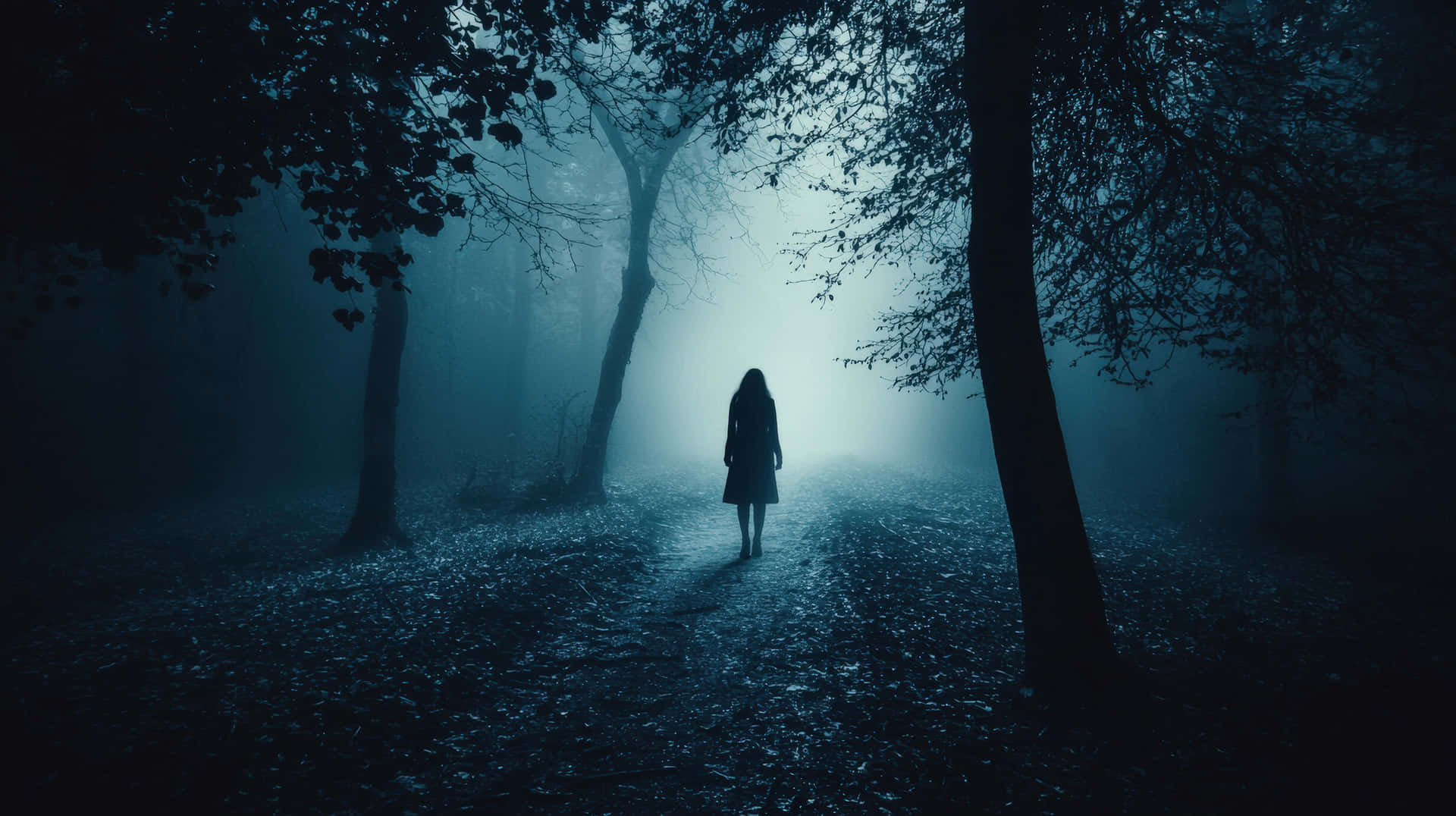 Download Silhouette Of A Woman Walking In A Mysterious Foggy Forest At Night. Wallpaper ...