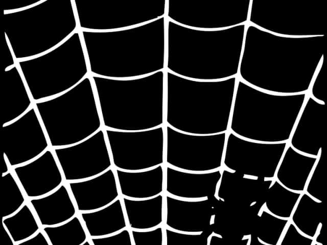 Download Spiderman Web Pattern | Wallpapers.com