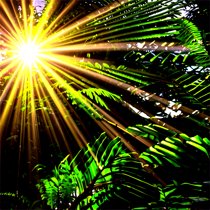 Download Summer Sun Rays Png 05242024 | Wallpapers.com