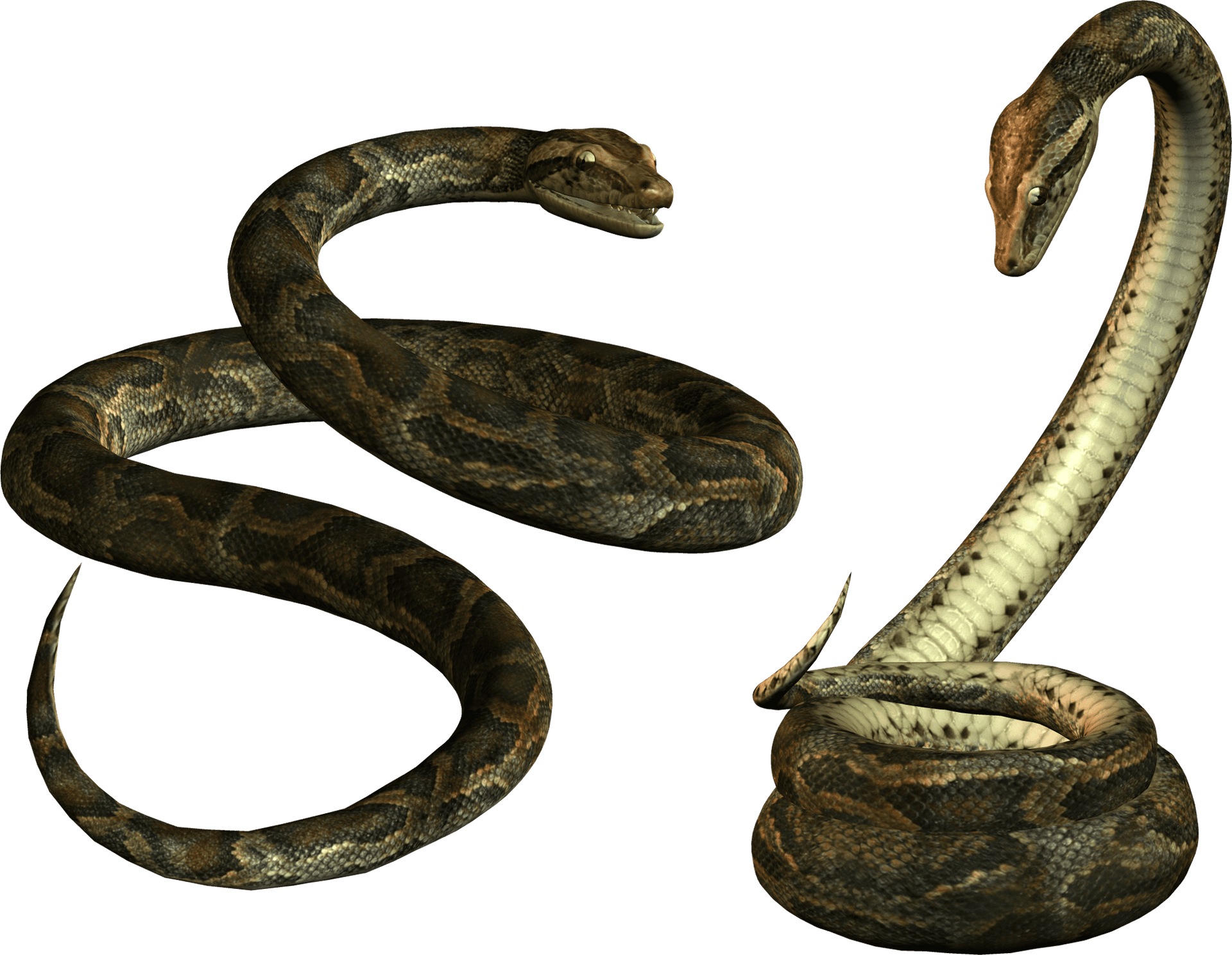 Download Three Dimensional Snakes Rendering | Wallpapers.com