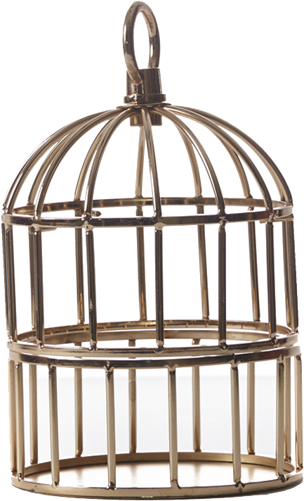 Download Vintage Birdcage Design | Wallpapers.com