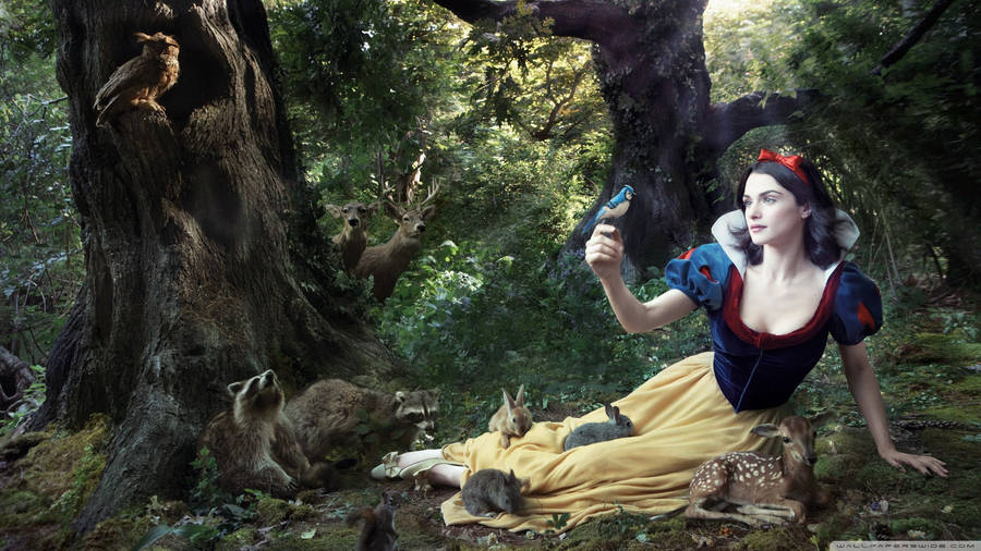 Download Snow White In The Forest Wallpaper | Wallpapers.com